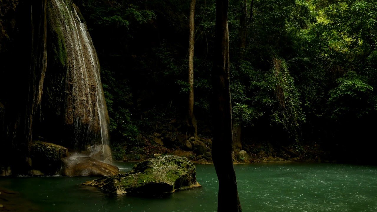Relaxing Rain in the Forest - MEDITATURE